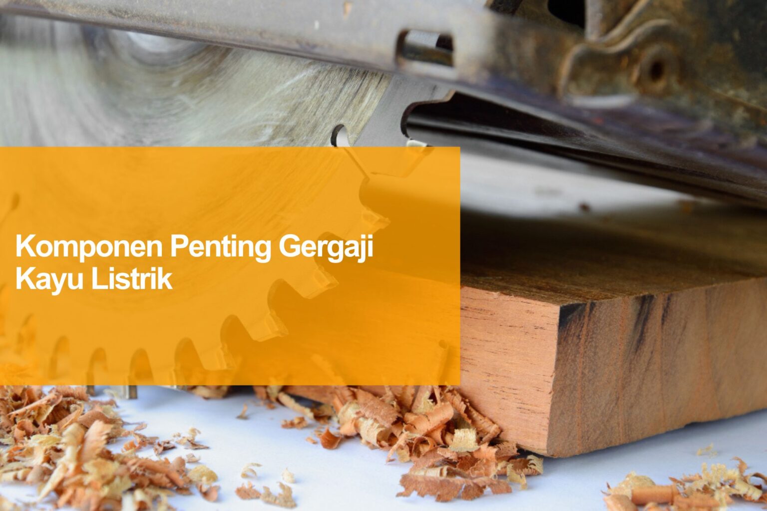 Tips Aman dan Efektif Menggunakan Gergaji Kayu Listrik Mini Bagi Pemula ...
