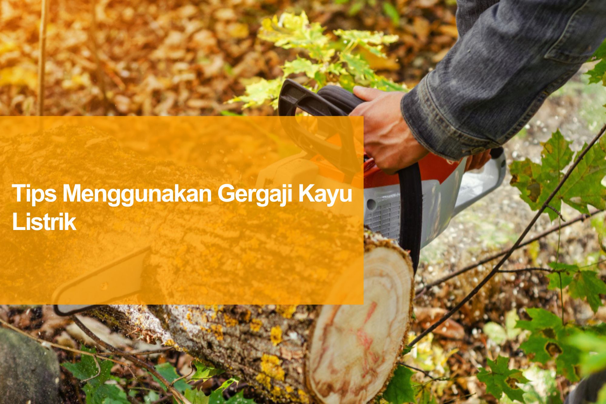 Tips Aman dan Efektif Menggunakan Gergaji Kayu Listrik Mini Bagi Pemula ...